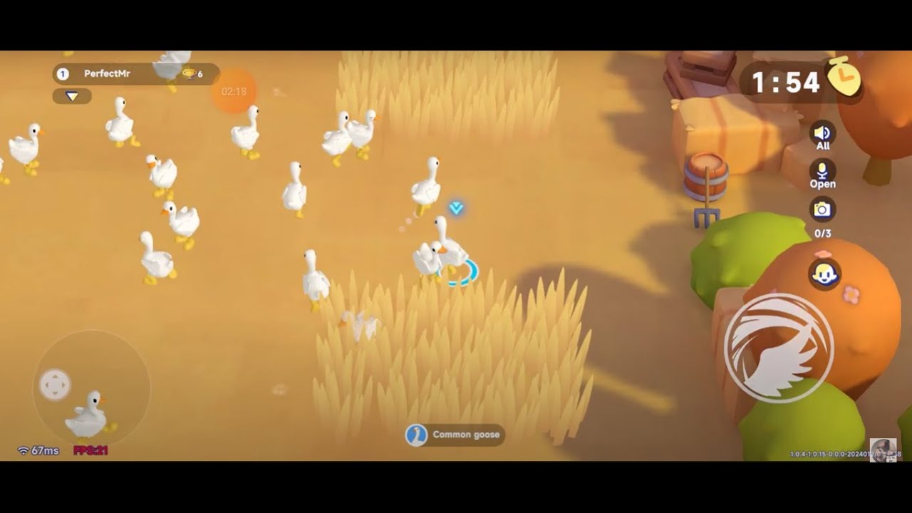 Trickstorm - Fake Goose Hide And Seek - Gameplay walkthrough 2 - YouTube