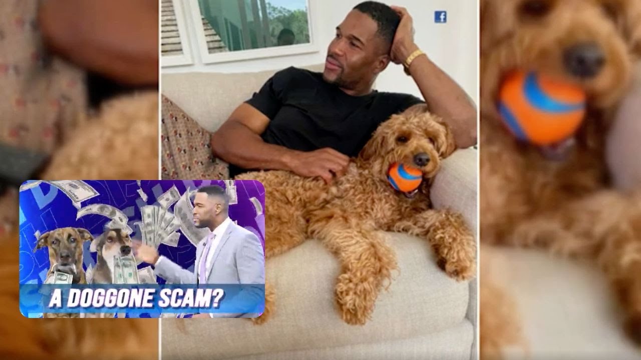 Michael Strahan's Divorce Has Officially Gone To The Dogs! Ex Claims He ...