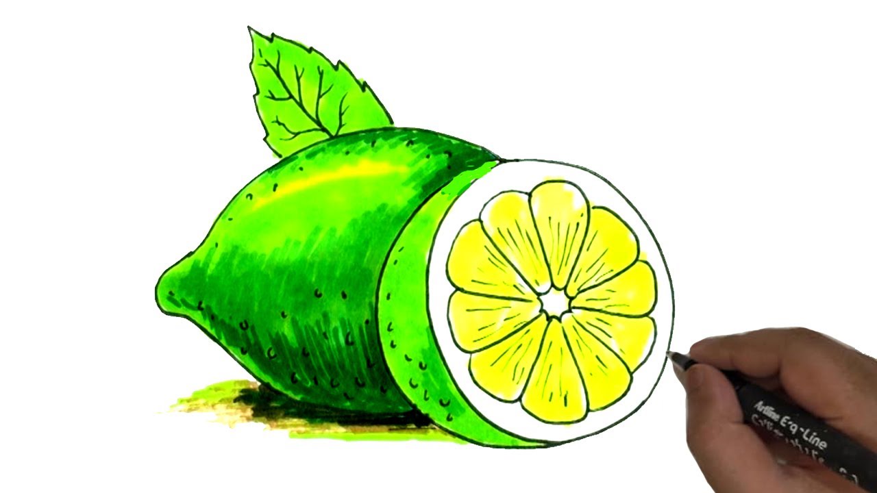 Lime Drawing