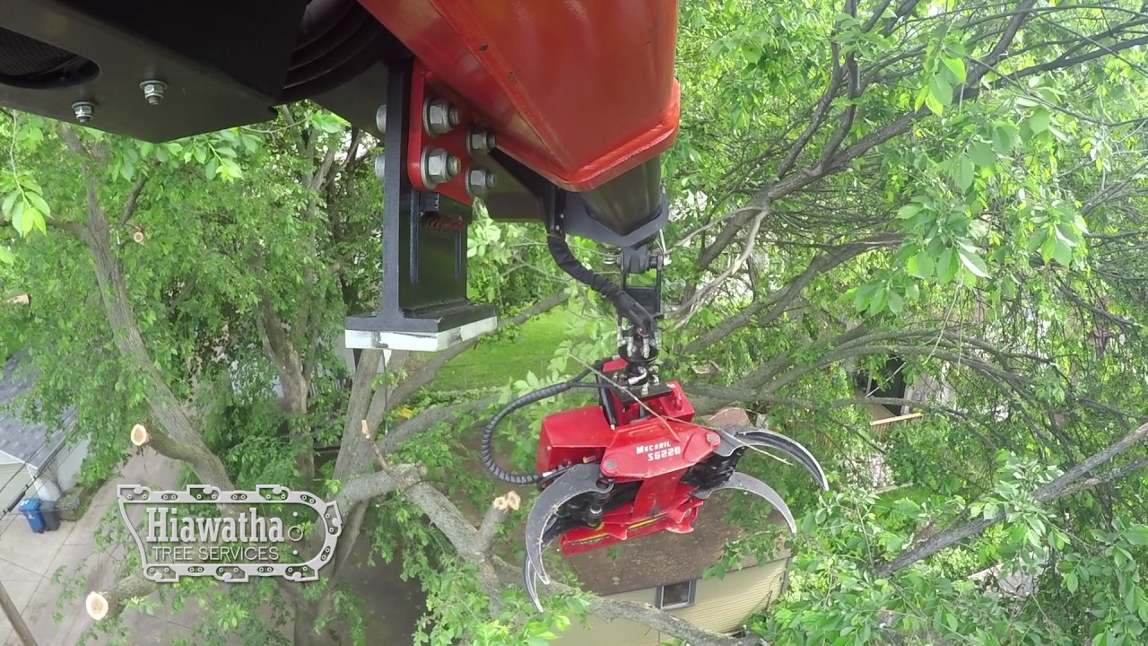 Hiawatha Tree Services - Tree-Mek In Action - Minneapolis MN Area - YouTube