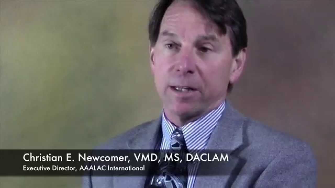 People & Perspectives: Chris Newcomer - (Excerpt) The Creation of ...