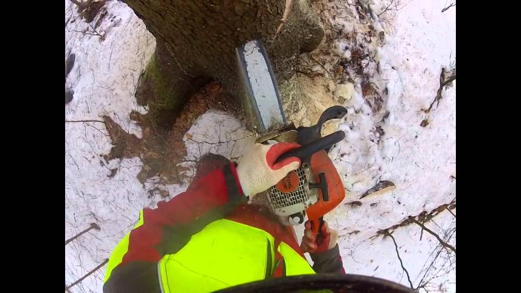 First Person logging - YouTube