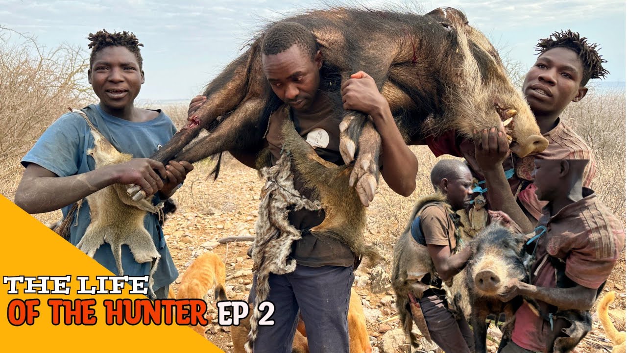 Hadzabe Tribe | Bush Pig Hunt Successful - YouTube