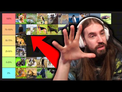 1vs1 ЖИВОТНИ с ГОЛИ РЪЦЕ! (Tier List)