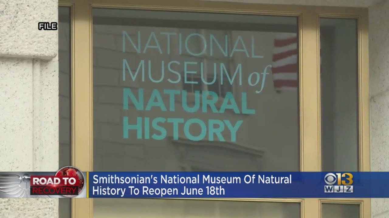 Smithsonian's National Museum Of Natural History To Reopen - YouTube