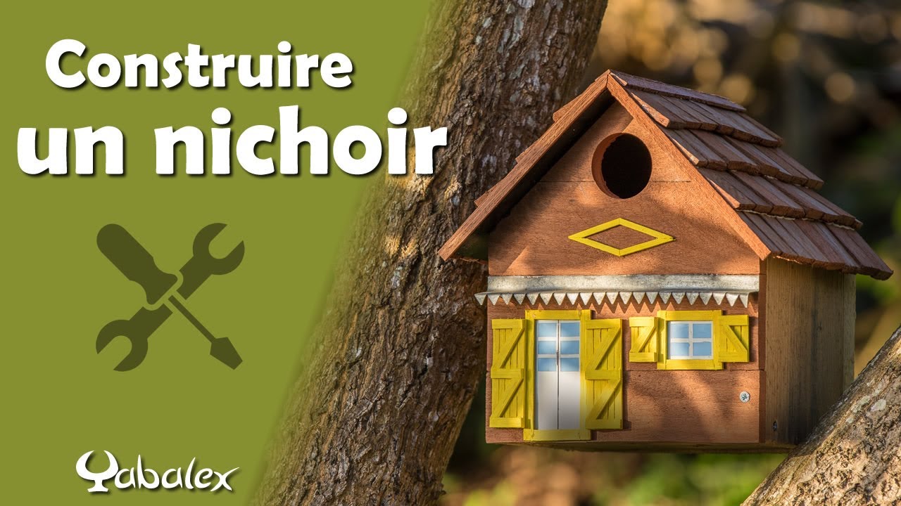 Guide complet pour construire un nichoir, étape par étape - Yabalex ...
