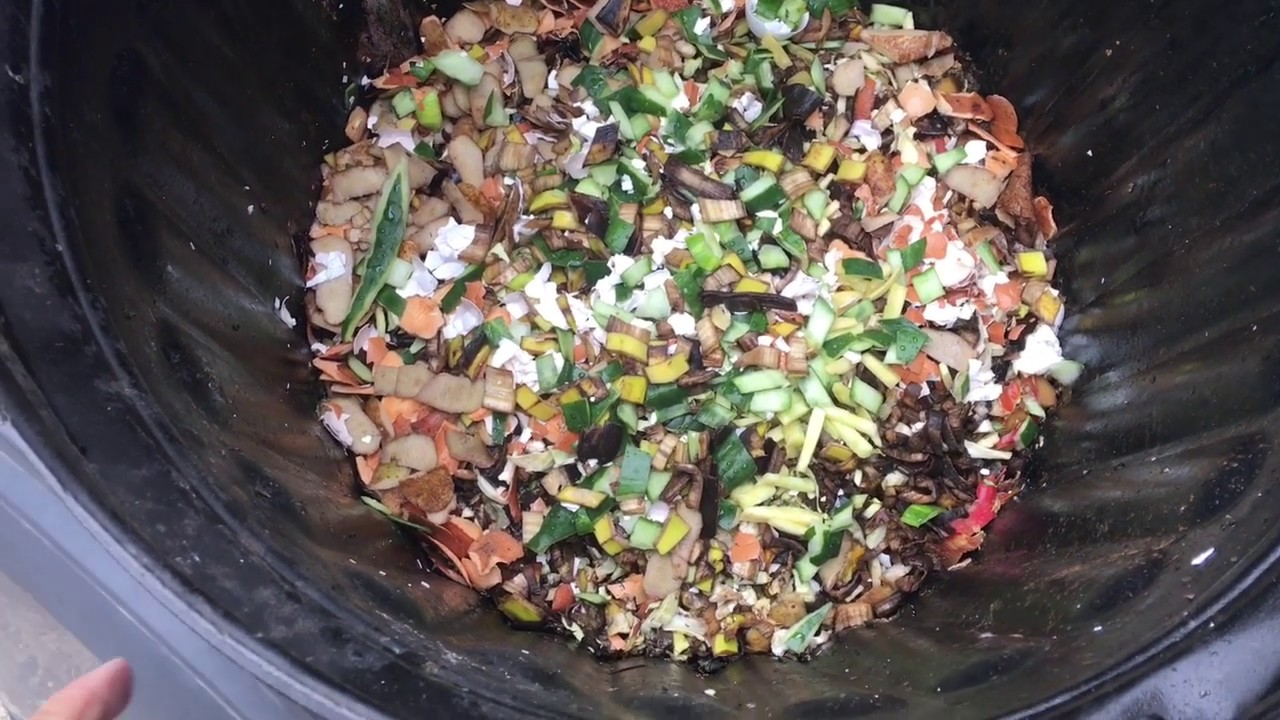 How to make your own compose ,pataba sa garden - YouTube