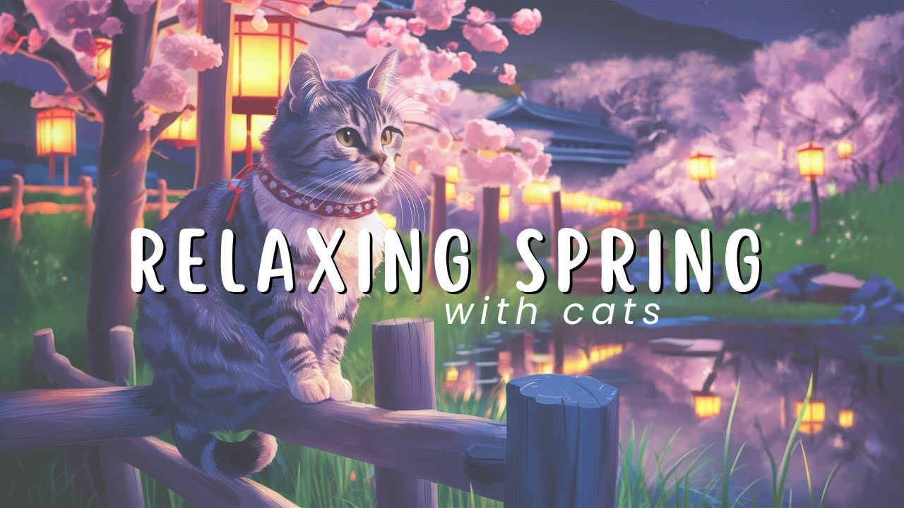 Relaxing Spring 💕🐱Chill Vibes Ahead - YouTube