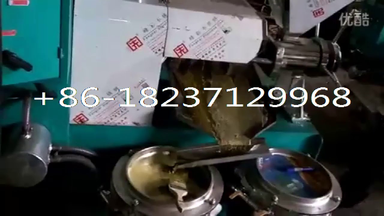 cold press oil expeller seeds machine/ palm oil extraction machine/hemp ...