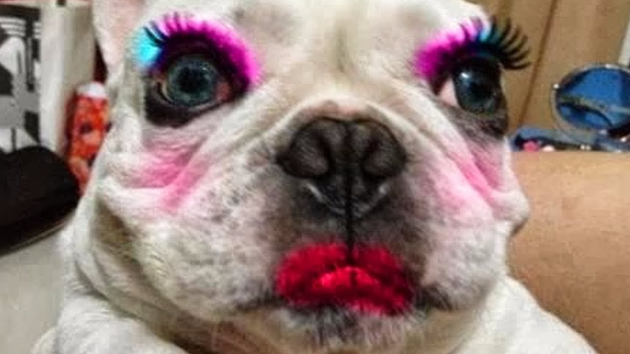 😃😂 Lust zu Lachen? 😃😹 Die Besten Lustigen Fails rund um die Welt ...