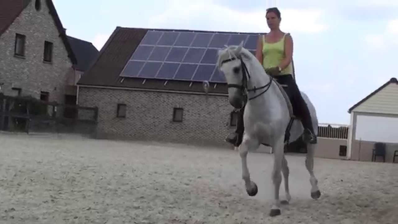 Jessica Fievet & Tempo cours avec Pedro Almeida - YouTube