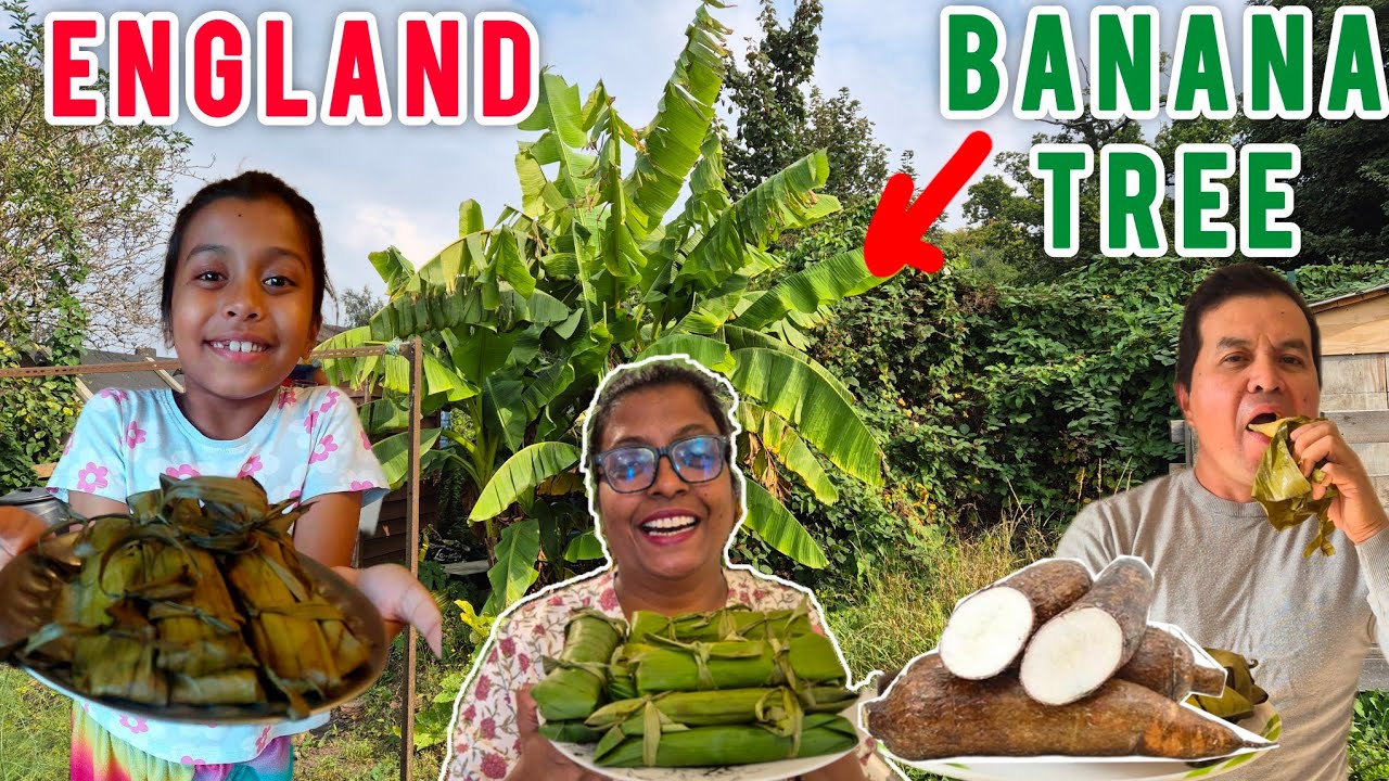 Dahil libre ang Dahon ng SAGING, nagluto kami ng SUMAN Kamoteng Kahoy ...