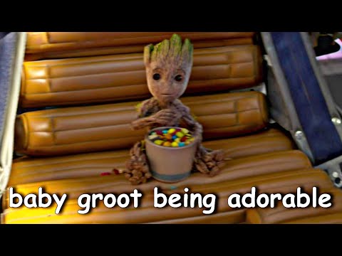 baby groot being adorable