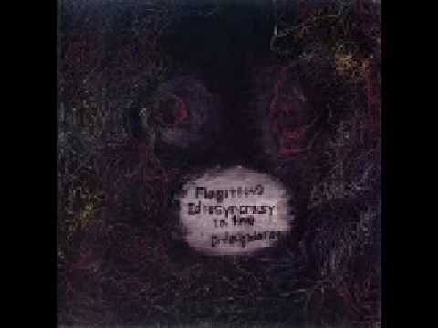 Flagitious Idiosyncrasy in the Dilapidation - Finite Dark Water - YouTube