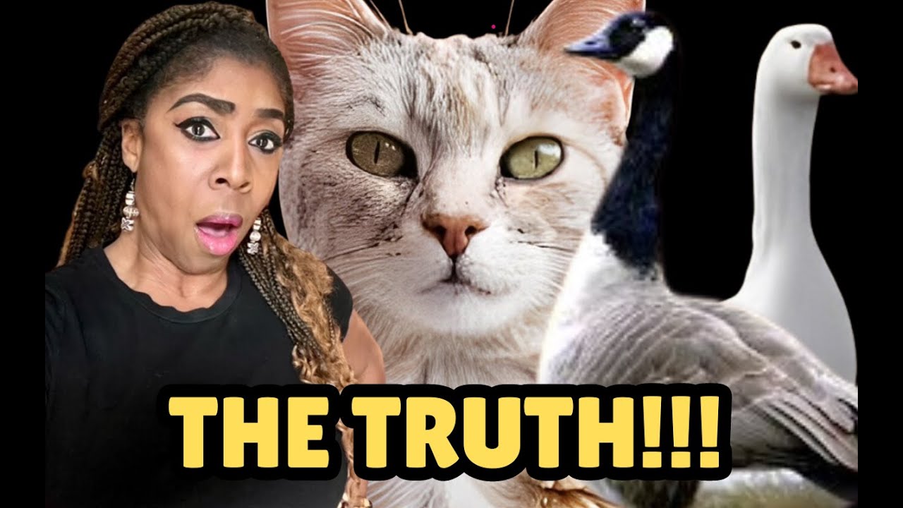 Bombshell News And The TRUTH About Springfield Ohio Mayor and What's ...