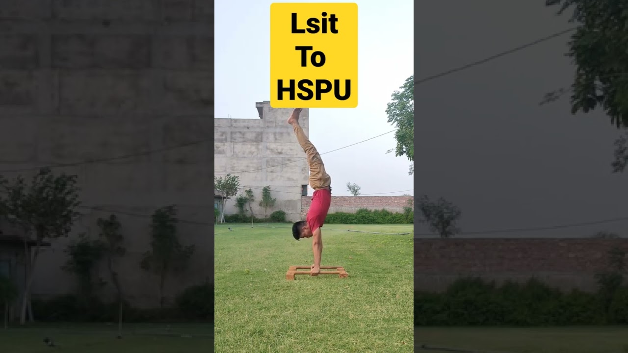 lsit to handstand | lsit to hspu | lsit to handstand pushups | Lsit ...