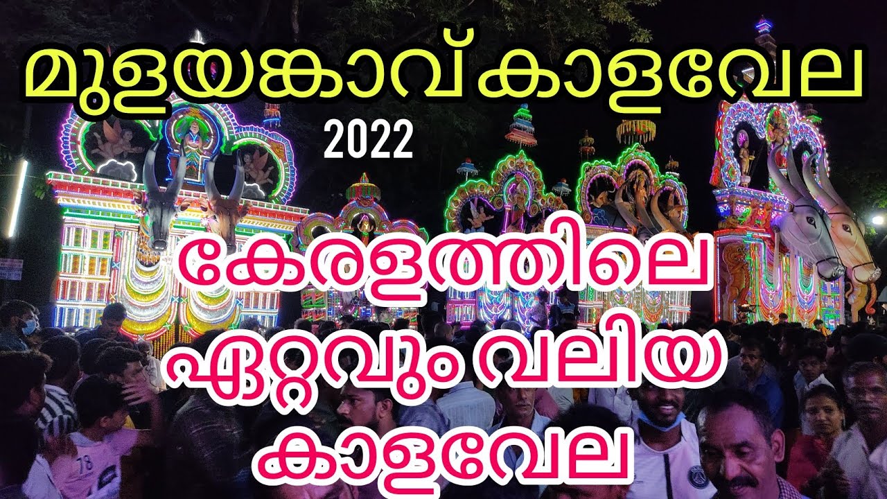 Mulayankavu Kalavela&Pooram മുളയങ്കാവ് കാളപൂരം/മുളയൻകാവ് കാളവേല2022 ...