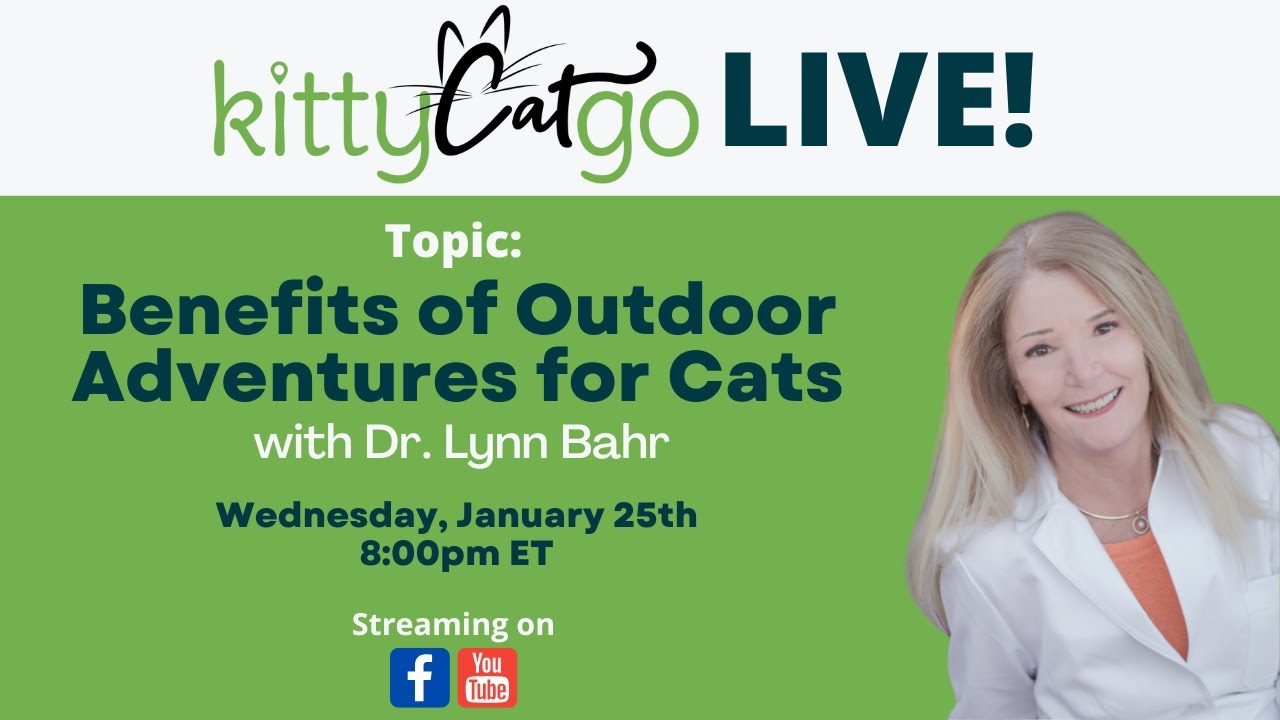KittyCatGO LIVE! with Dr. Lynn Bahr - The Benefits of Outdoor Adventures for Cats - YouTube