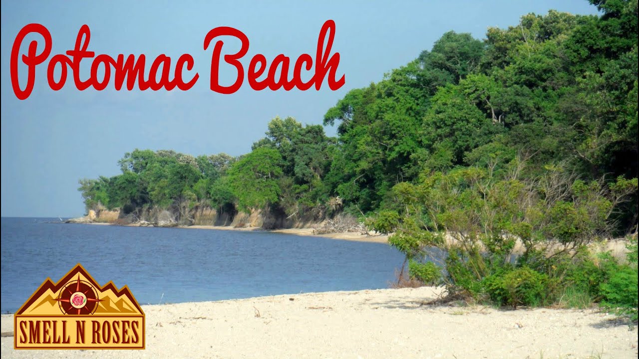 Potomac Beach at George Washington Birthplace National Monument - YouTube