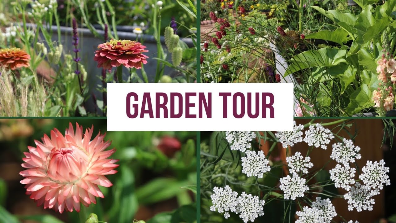 Garden Tour of our RHS Flower Show Garden - YouTube