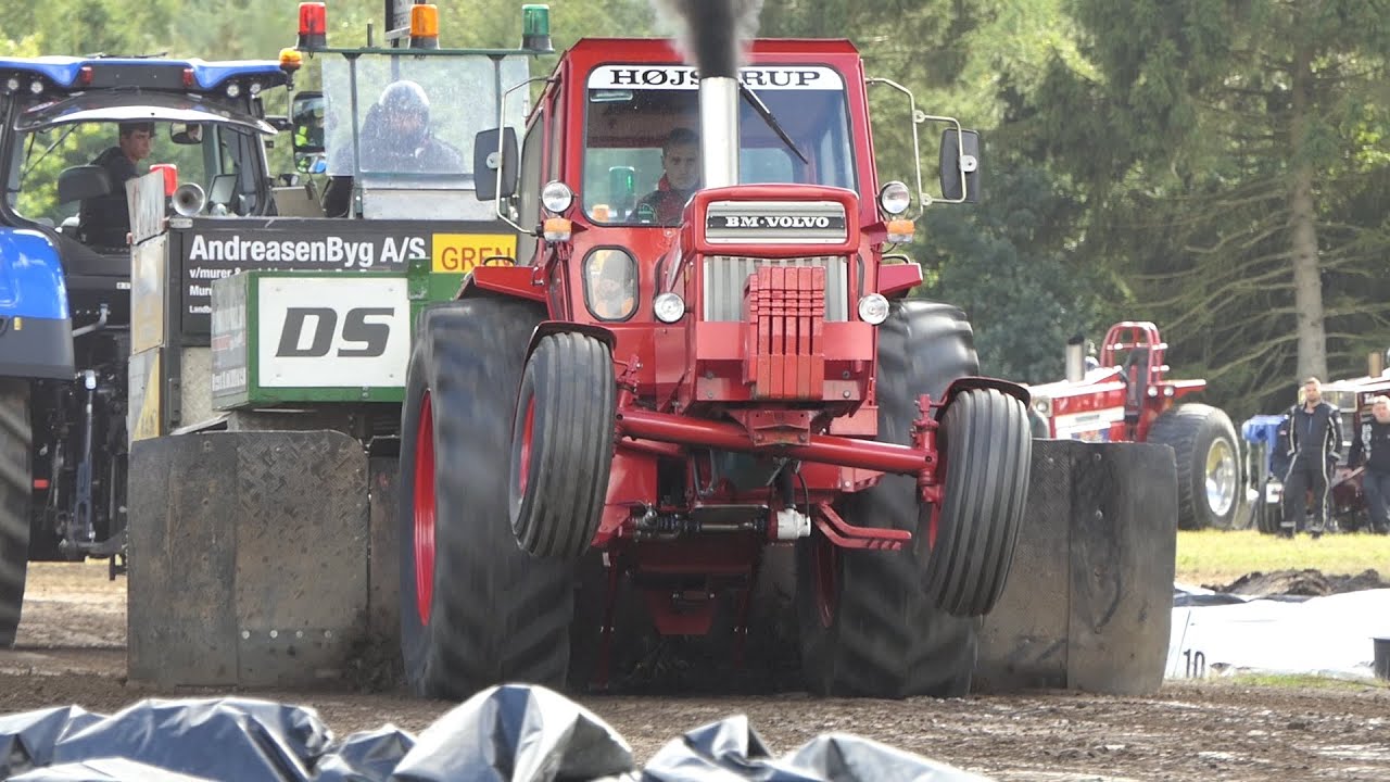 Standard Klasse 2 at Test and Tune Day 2020 on Brande Pulling Arena ...
