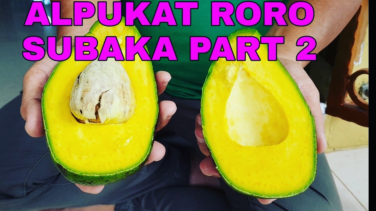 ALPUKAT RORO SUBAKA PART II - YouTube