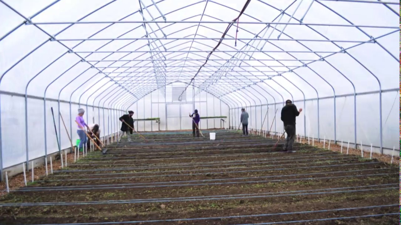 Biointensive Farming - YouTube