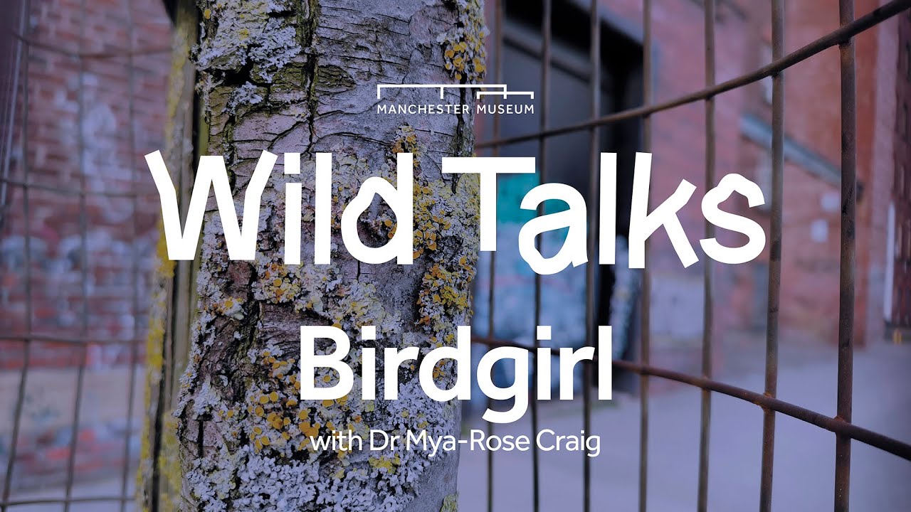 Wild Talks | Birdgirl with Dr Mya-Rose Craig | Manchester Museum - YouTube