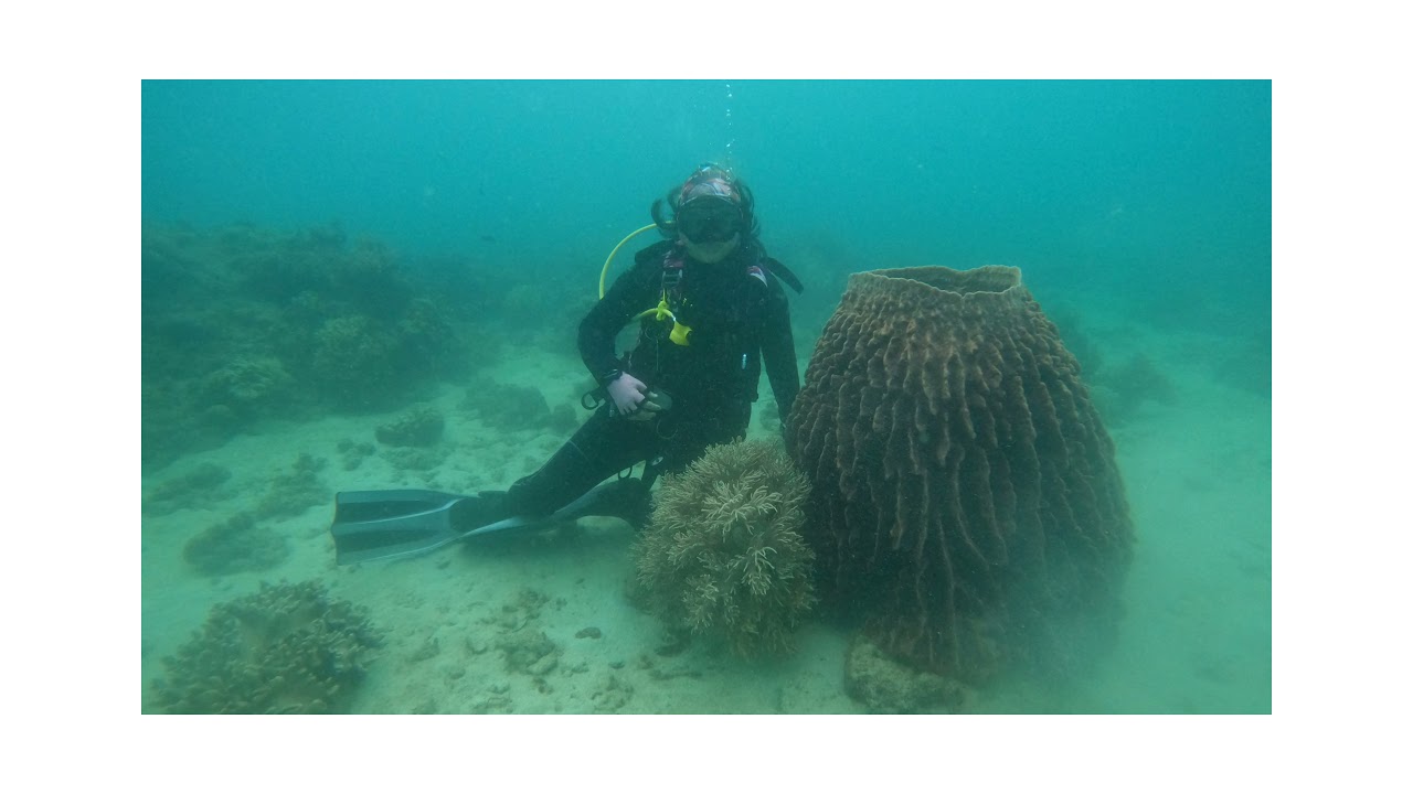 Mantangale Alibuag Dive Beach Resort - YouTube