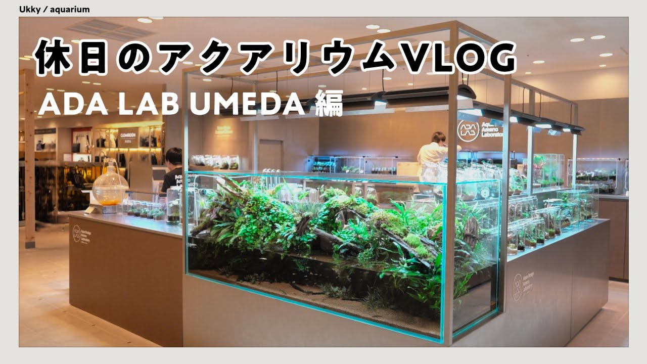 ADA LAB UMEDAにお出かけした休日 #13【アクアリウム】VLOG - YouTube