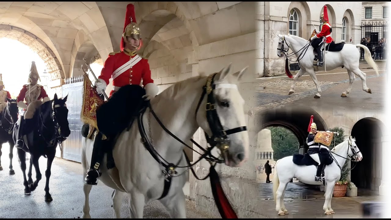 SUPER Rare Sighting of The King's Guards on BEAUTIFUL White Horses ...