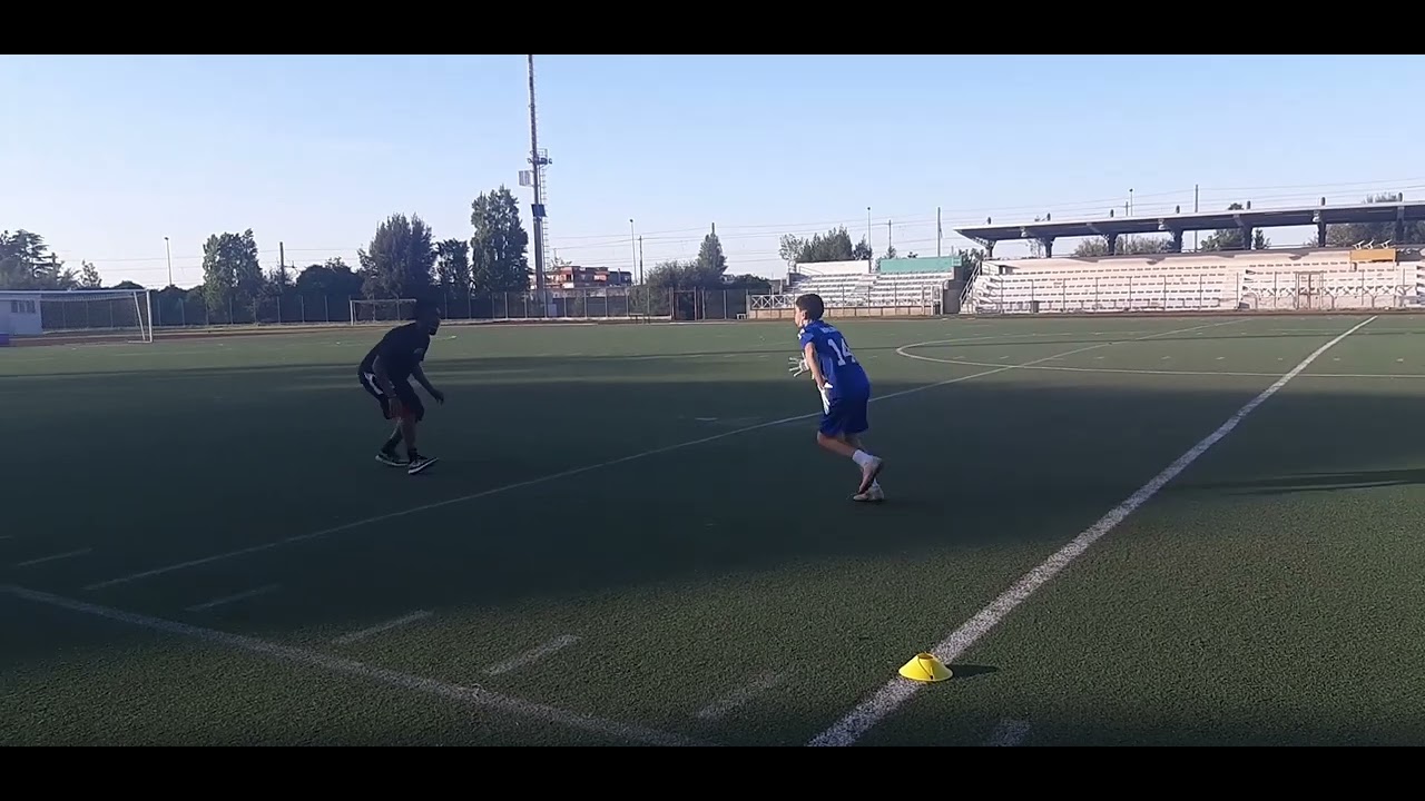 Alessandro Fristachi clinic privati con Hazel, Casey, Bentley - YouTube