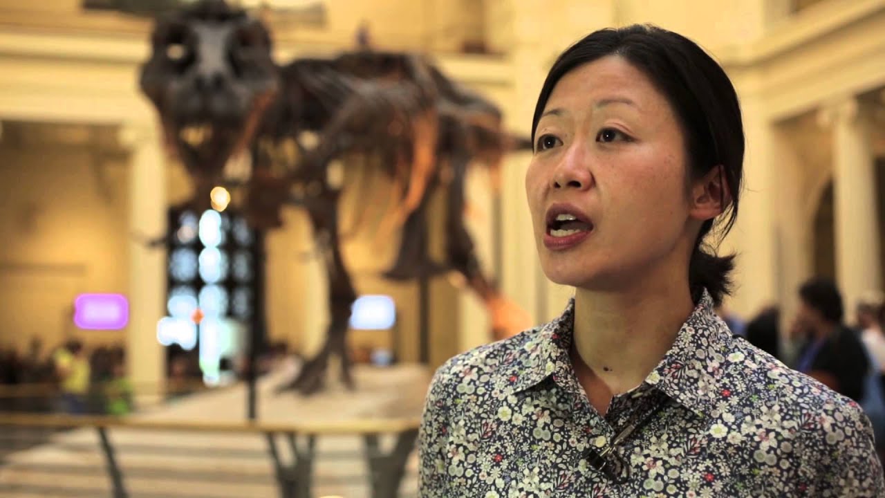 Chicago Field Museum - YouTube