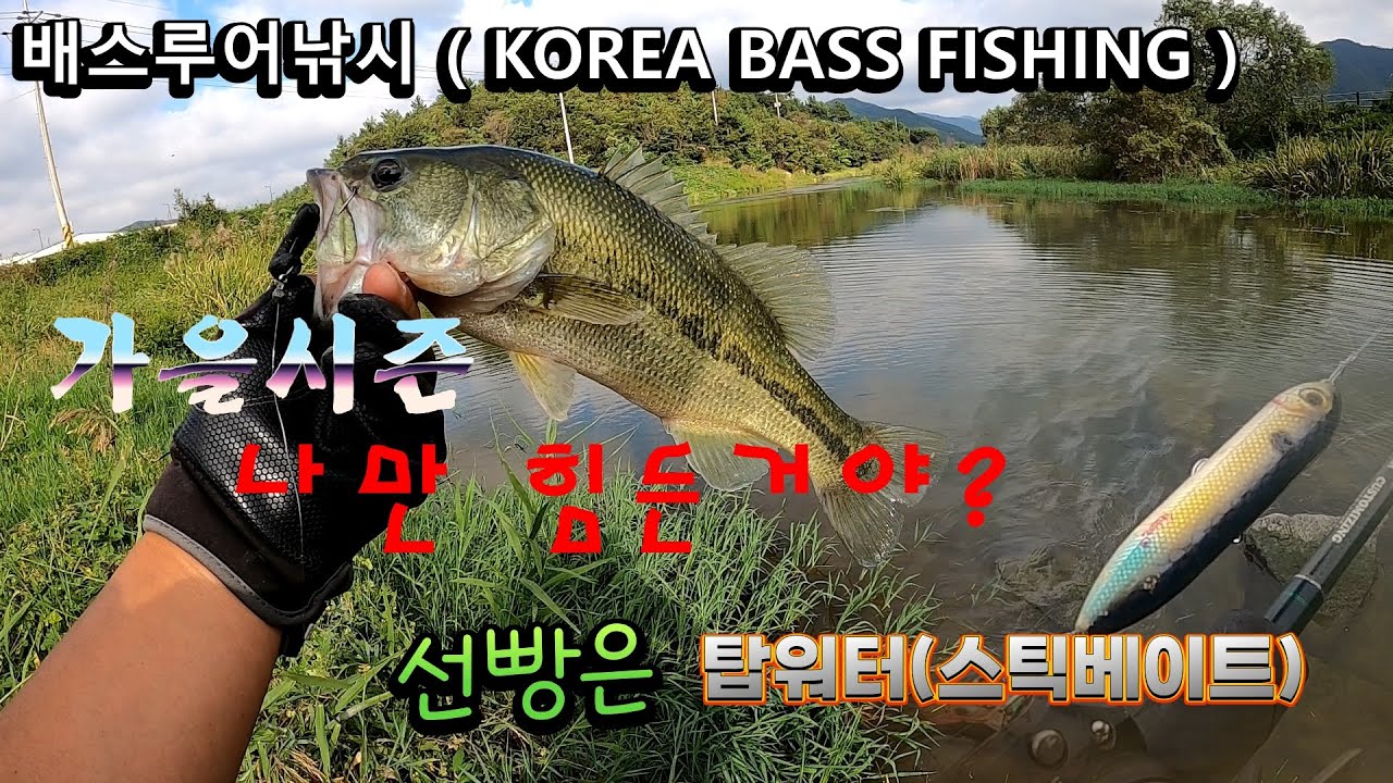 해남 고천암호 선빵은 탑워터 스틱 베이트 KOREA BASS FISHING - YouTube