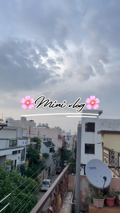 Mini vlog..#explorepage #minivlog #daily vlog#trendingshorts #viralshorts #shortfeed - YouTube