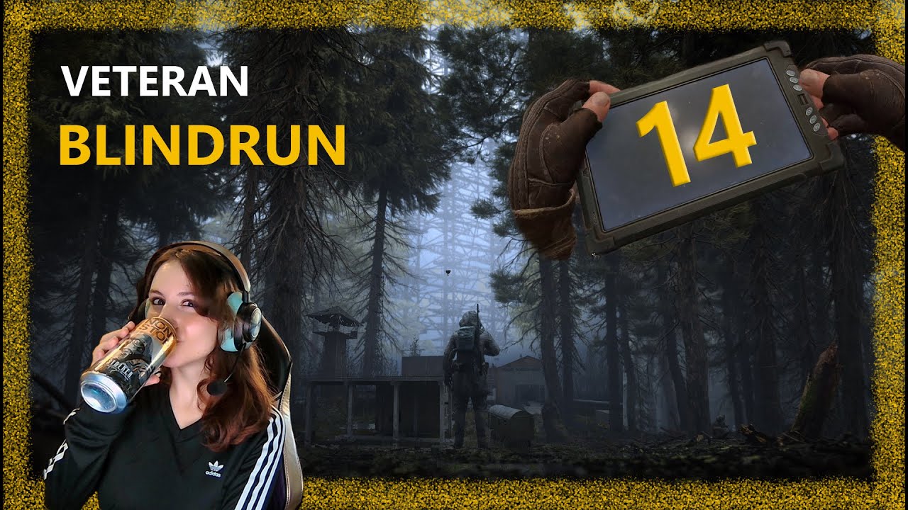 STALKER 2: HEART OF CHORNOBYL VETERAN PLAYTHROUGH | We found the 'Dark ...