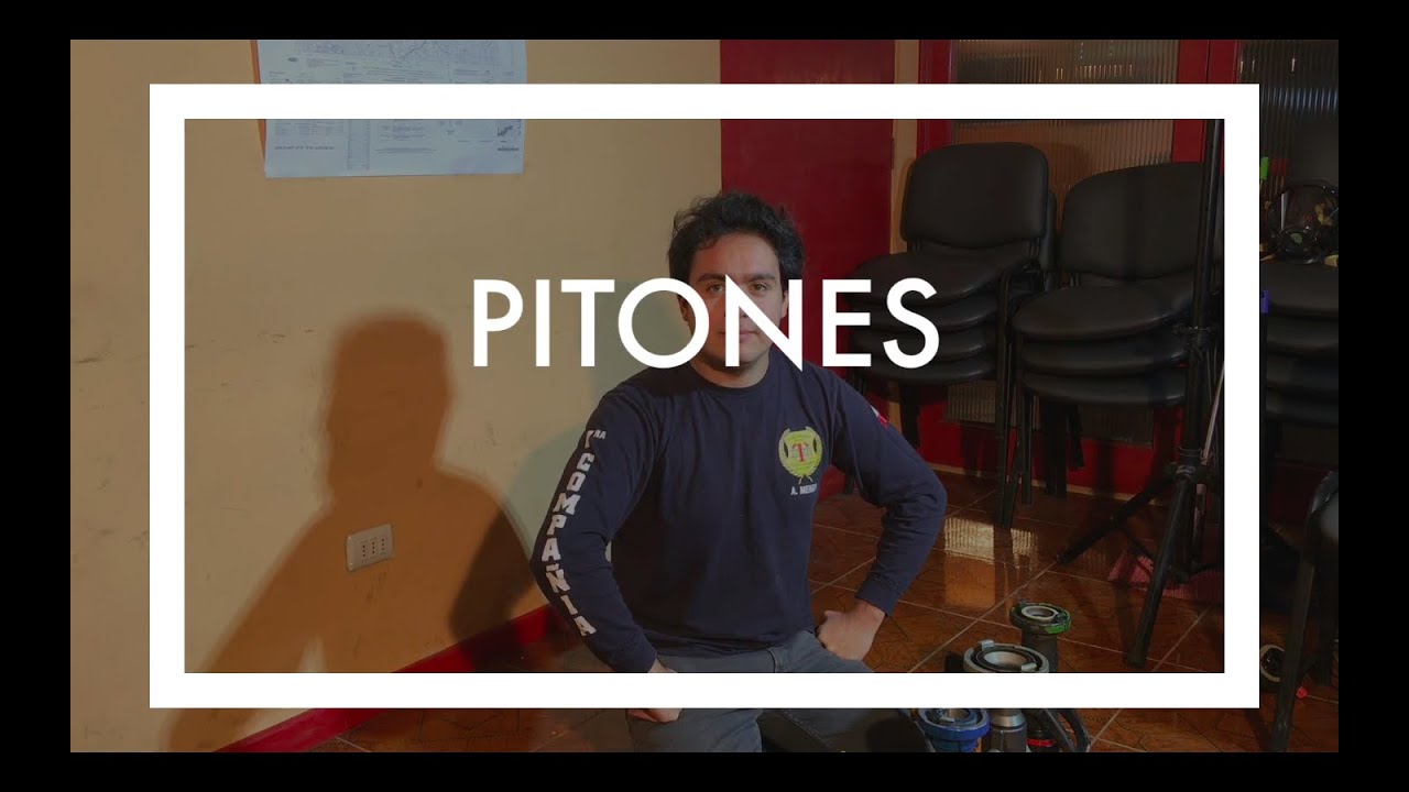 Pitones - YouTube