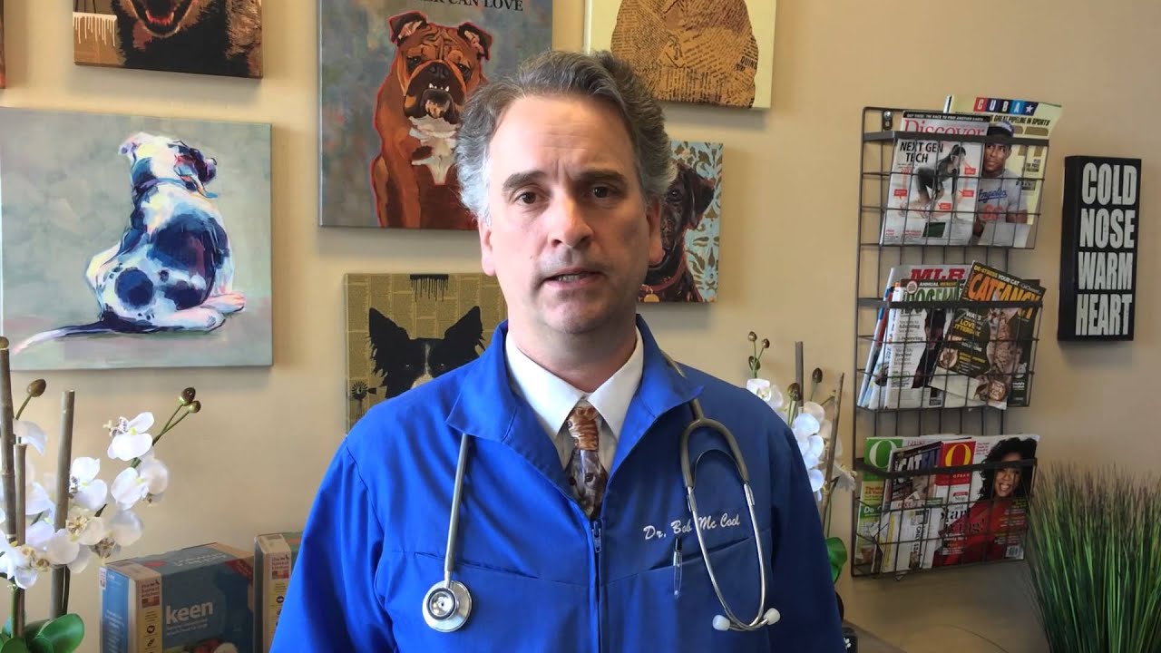 Dr. Bob McCool Testimonial for Henry Evans - YouTube