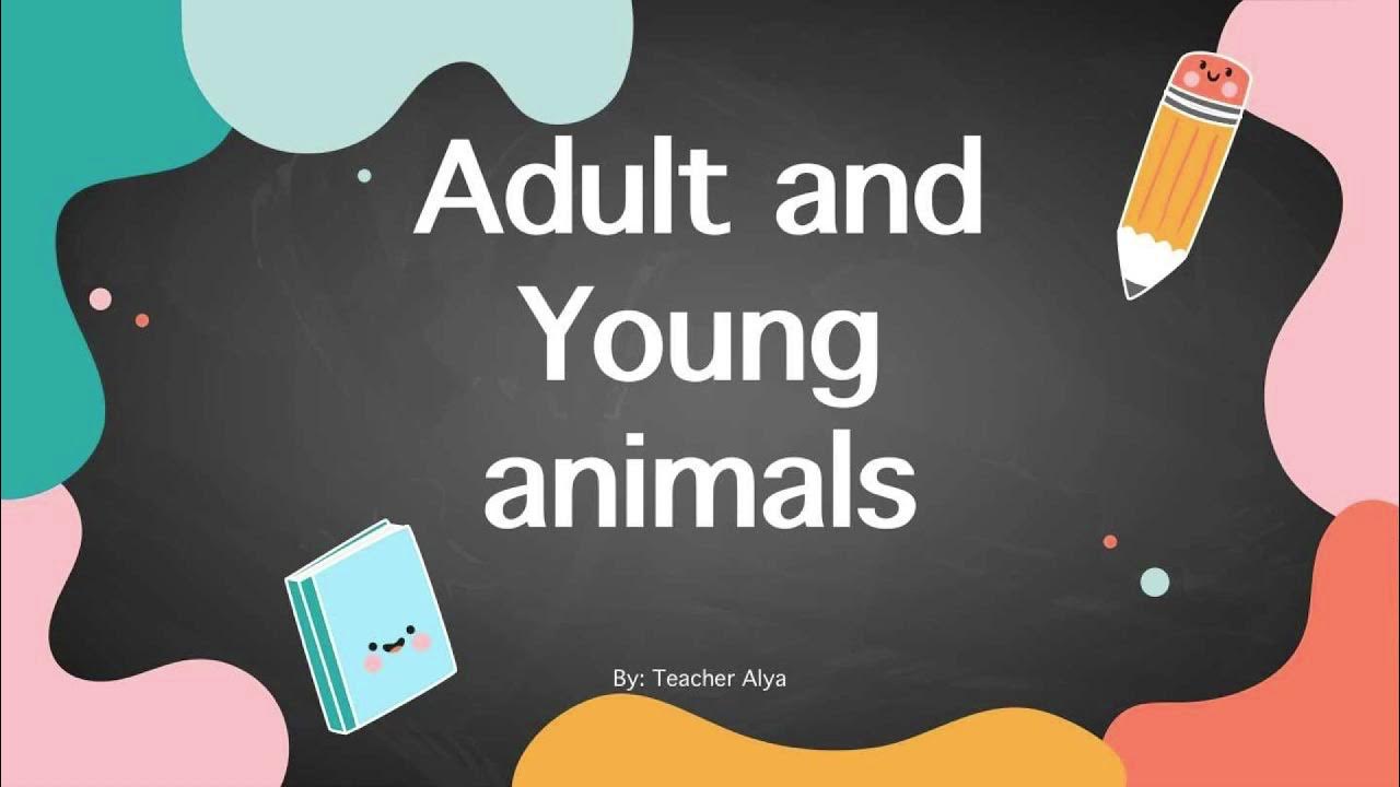 Young & Adult animals - YouTube