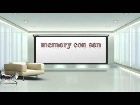 TRAVEL CONSON