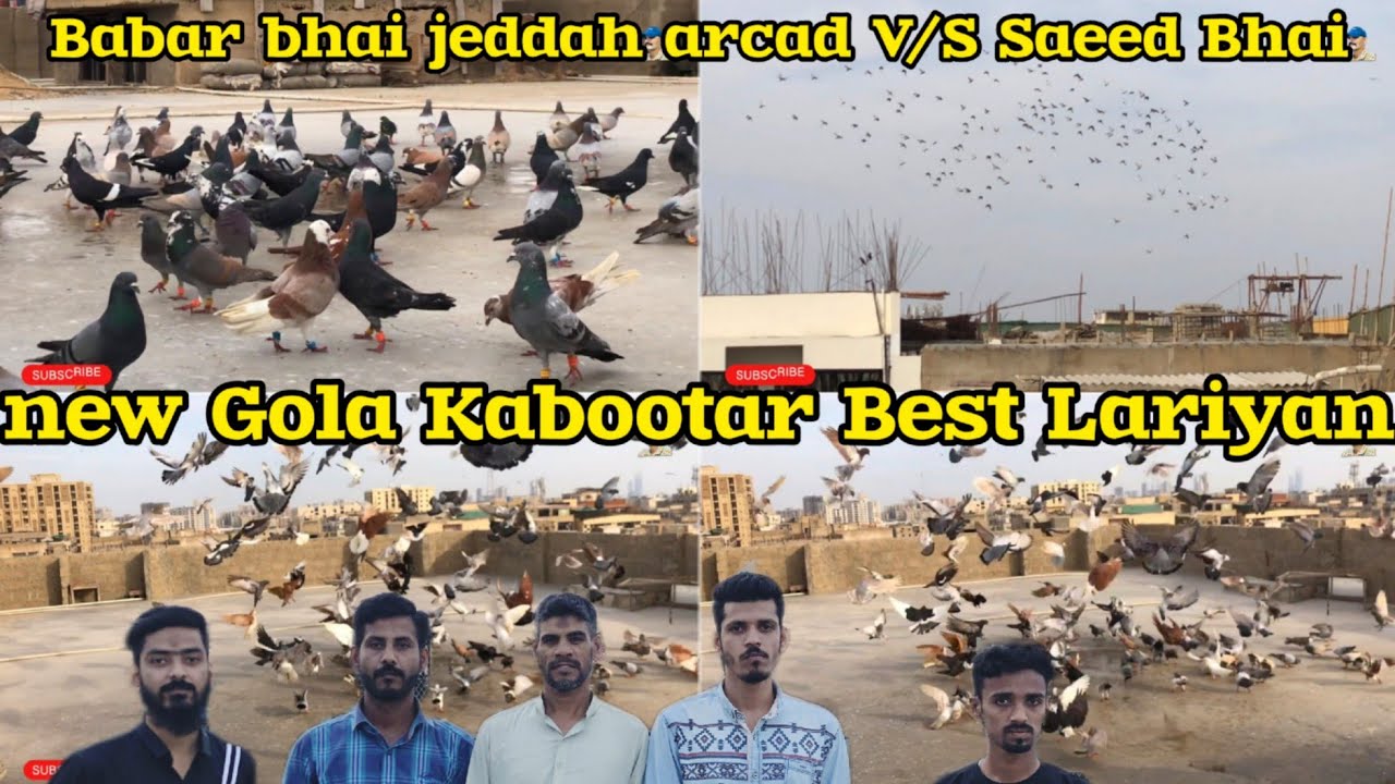 Babar bhai jeddah arcad V/S Saeed Bhai | new Gola Kabootar Best Lariyan ...