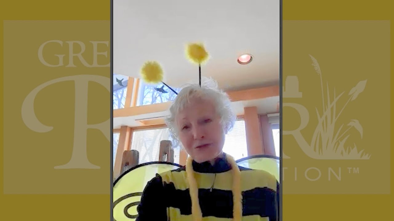 5K Bee Run - Earth Day Fun Run/Walk & River Cleanup - YouTube