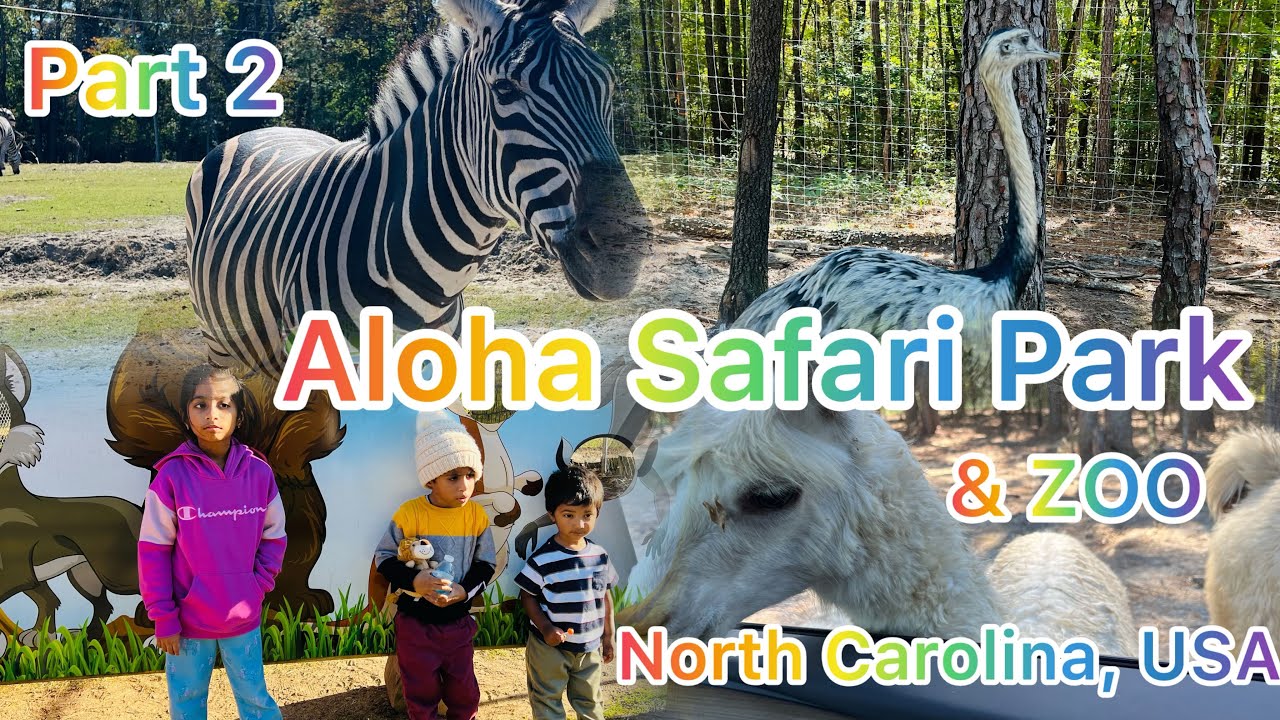 Aloha Safari & Zoo Part2|#travel #safari#zoo #usa #india #animals # ...