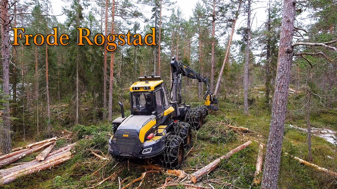 Ponsse BEAR C6 H8 - Frode Rogstad - Norway - 4K (long version) - YouTube