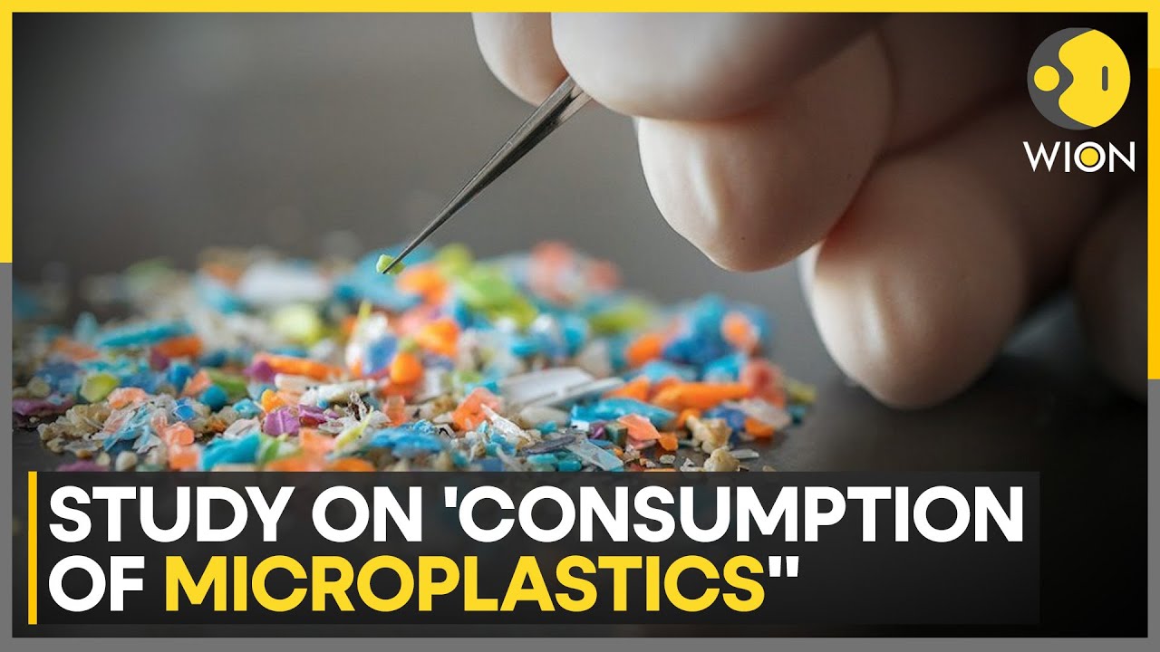 Study shows 'how microplastics are affecting the world' | WION - YouTube