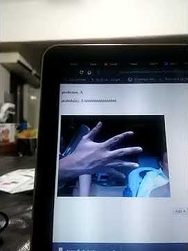 Tensorflow Javascript Image Classifier Live Trained - YouTube