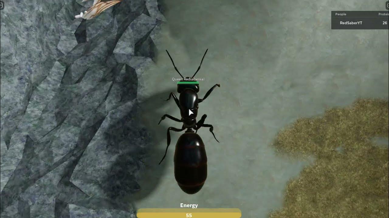 How to grow a sustaining, fast and functioning colony using this ...