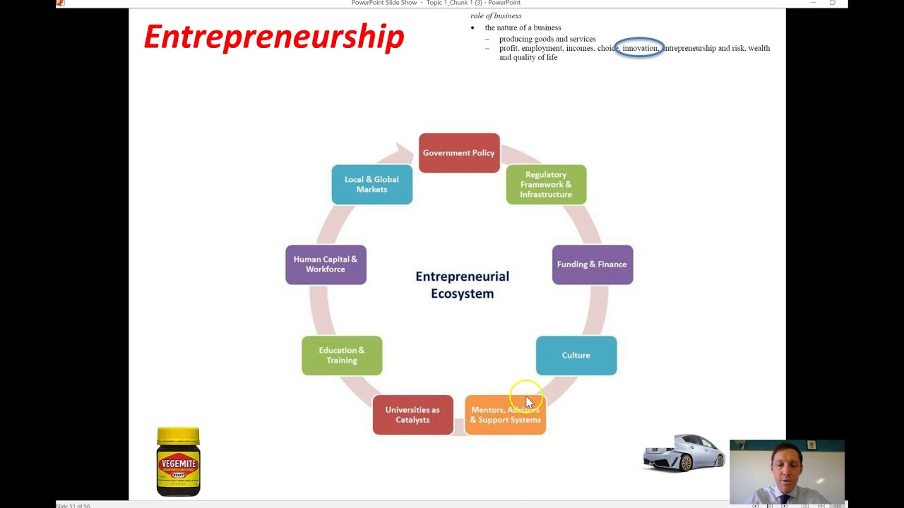6. Nature of Business_Entrep., Wealth_Yr 11 - YouTube