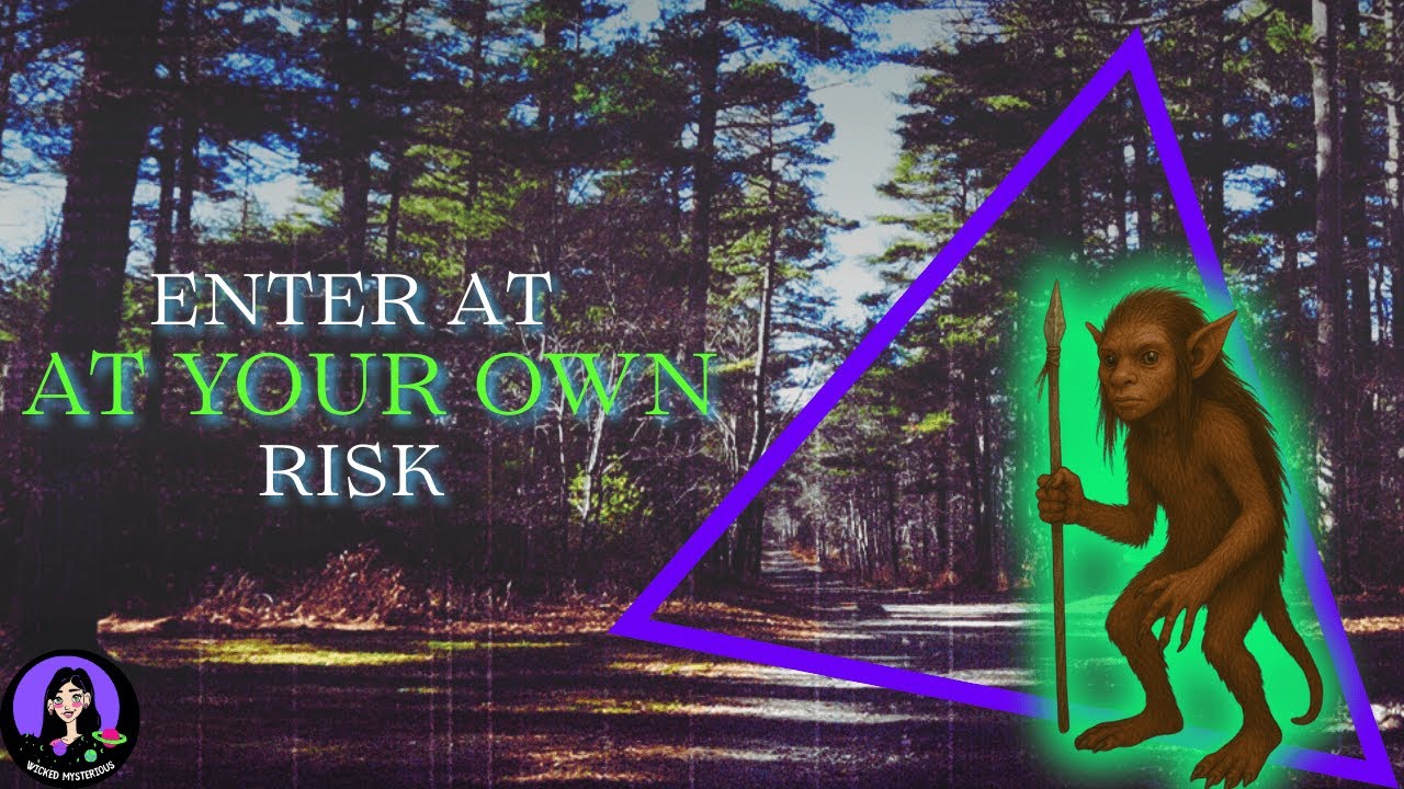 The Bridgewater Triangle: Into the Haunted Freetown State Forest - YouTube
