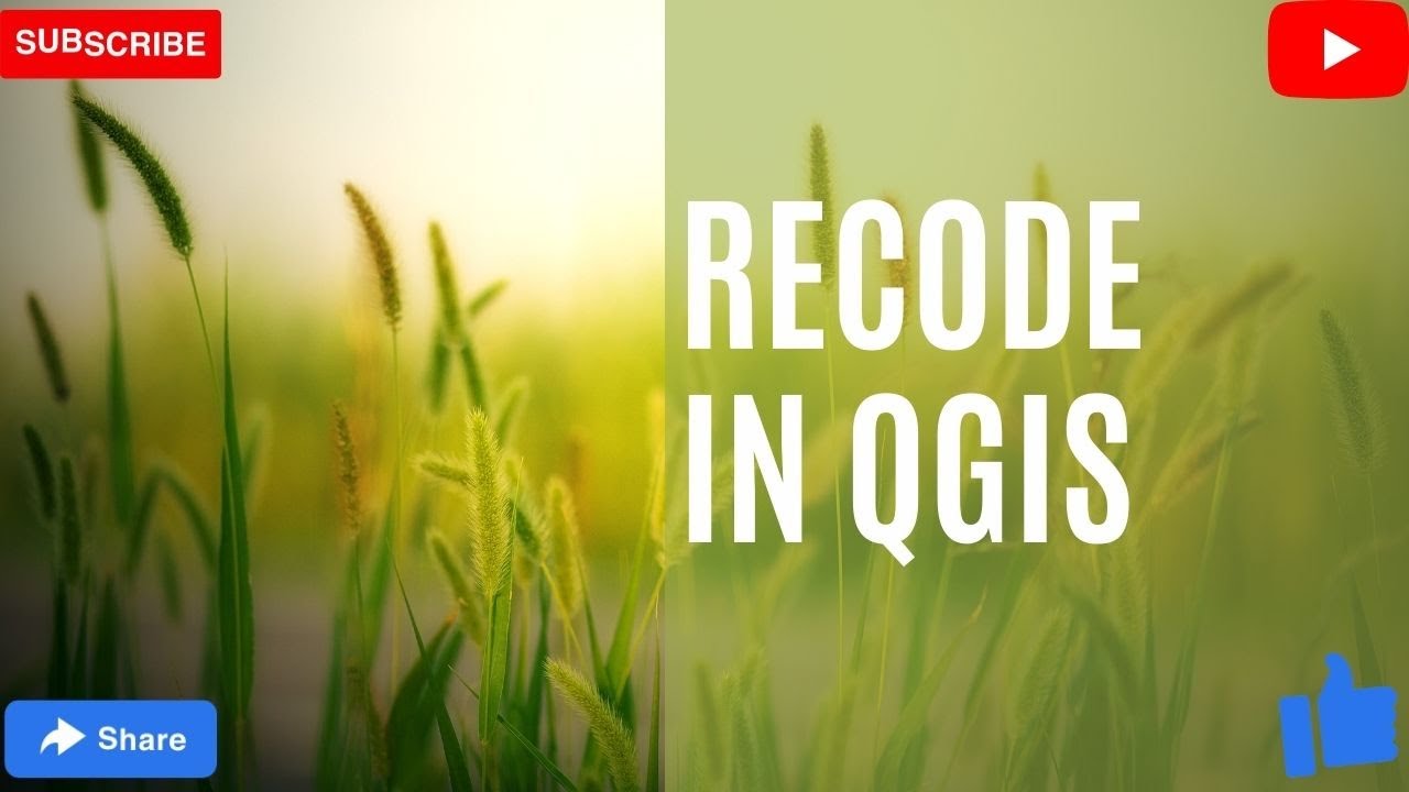 RECODE ON QGIS - YouTube